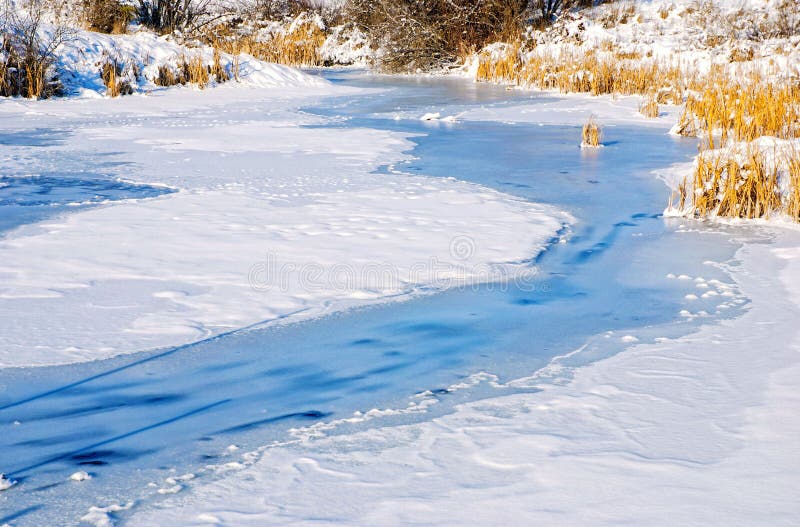 Icy Pond stock photo. Image of cattails, solid, snow - 48999594