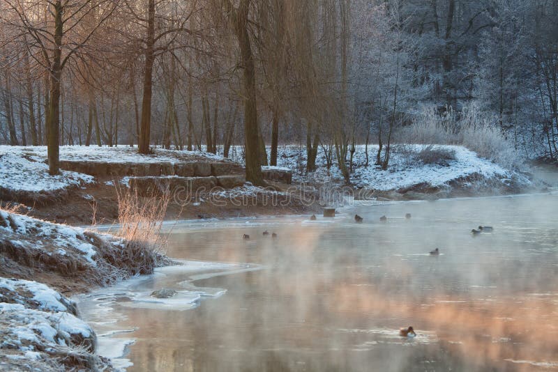 Icy river stock photo. Image of cold, morning, forest - 23204536