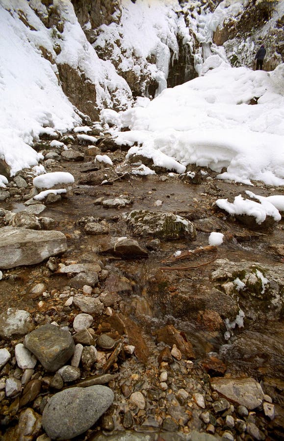 Icy River Picture. Image: 88714