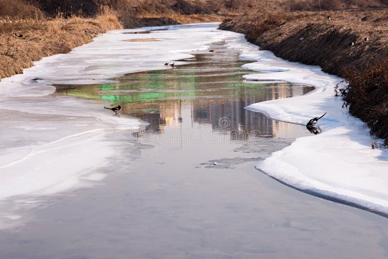 Icy river landscape stock photo. Image of winter, magpie - 66291288