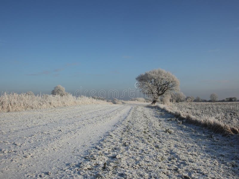 Icy scene stock photo. Image of sunny, outdoors, clear - 12326590