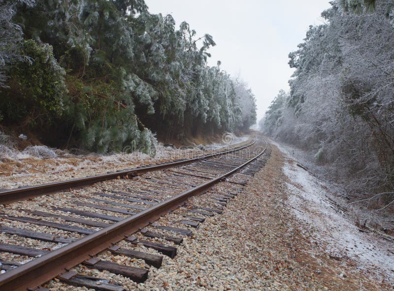 Icy tracks stock image. Image of green, trees, blue, wood - 55912869