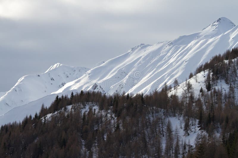 Icy Valley stock image. Image of valley, cold, frosty - 17775475