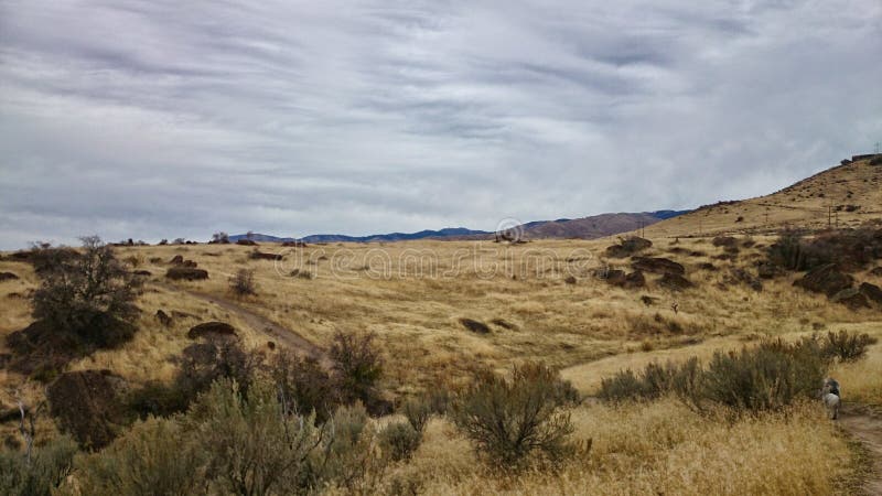 Liam Simmonds's Instagram, Twitter & Facebook on IDCrawl