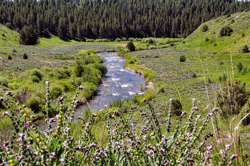 Spring on the Teton River on the Teton Scenic Byway in Eastern Idaho ...