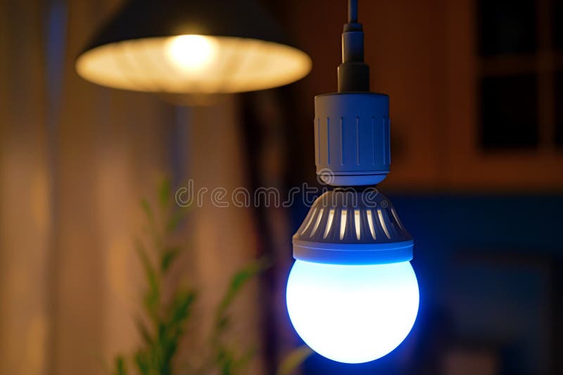Idea Concept with Glowing Led Bulb, Electric LED Lightbulb Stock Photo ...