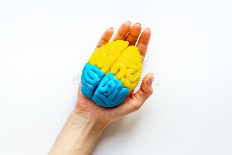 Idea Concept. Use Your Brain. Model of Clay in the Hand, Top View Stock ...