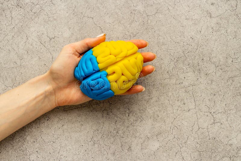 Idea Concept. Use Your Brain. Model of Clay in the Hand, Top View Stock ...