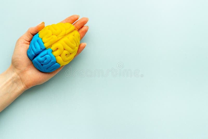 Idea Concept. Use Your Brain. Model of Clay in the Hand, Top View Stock ...