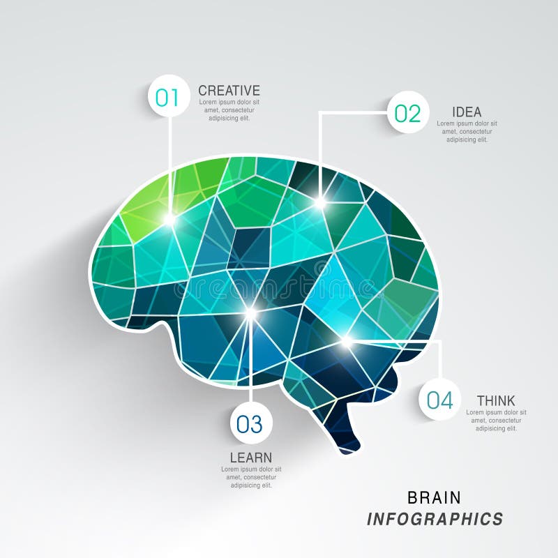 Idea and Education with Brain Infographics. Stock Illustration ...