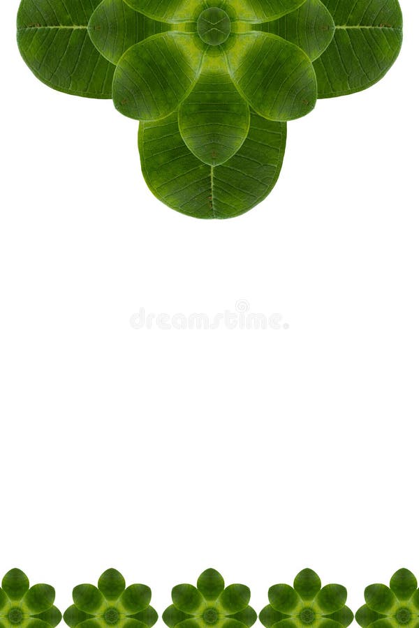 Idea form leaf. stock photo. Image of backdrop, design - 66730878