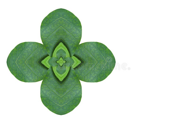 Idea form leaf. stock photo. Image of botanical, concept - 55818340