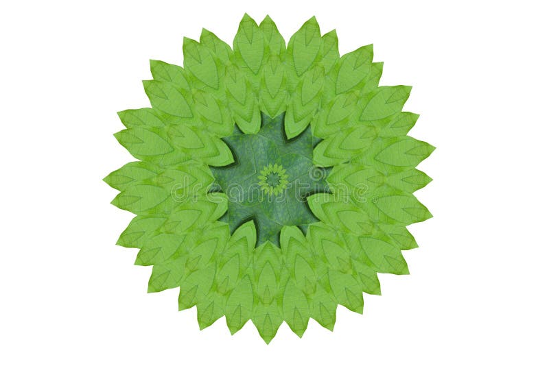 Idea form leaf. stock image. Image of garden, frame, flora - 55818431