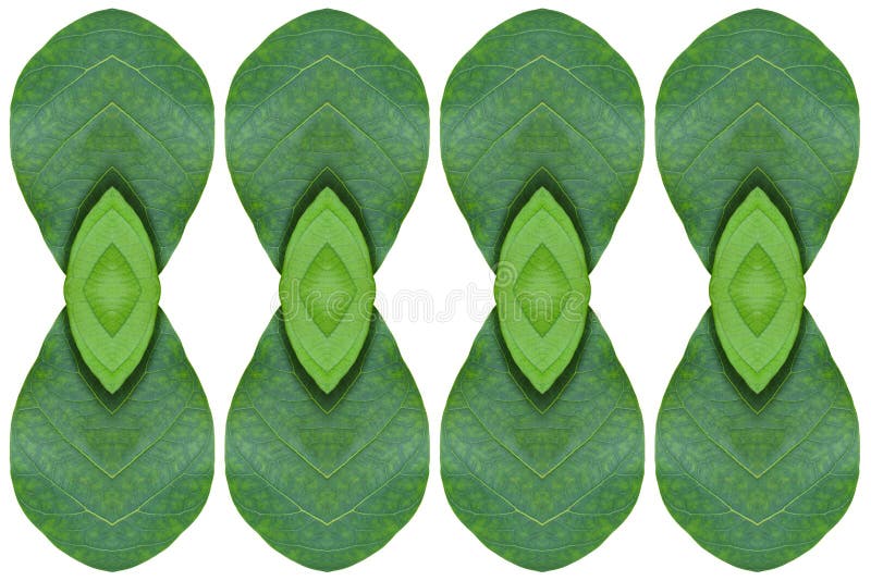 Idea form leaf. stock image. Image of botanical, concept - 55830093