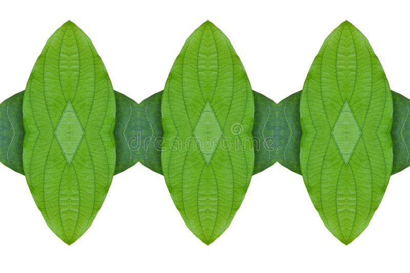 Idea form leaf. stock photo. Image of idea, decorative - 55830110