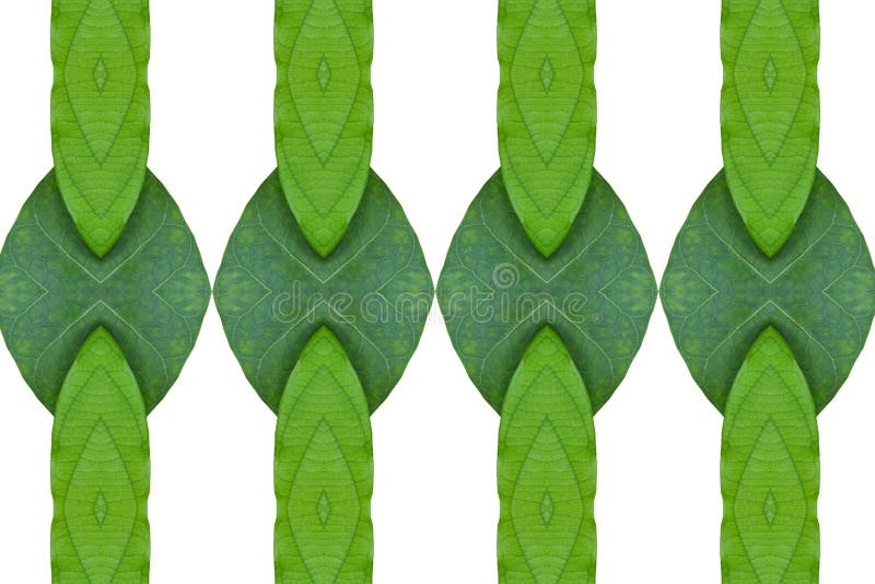 Idea form leaf. stock photo. Image of design, idea, garden - 55830174