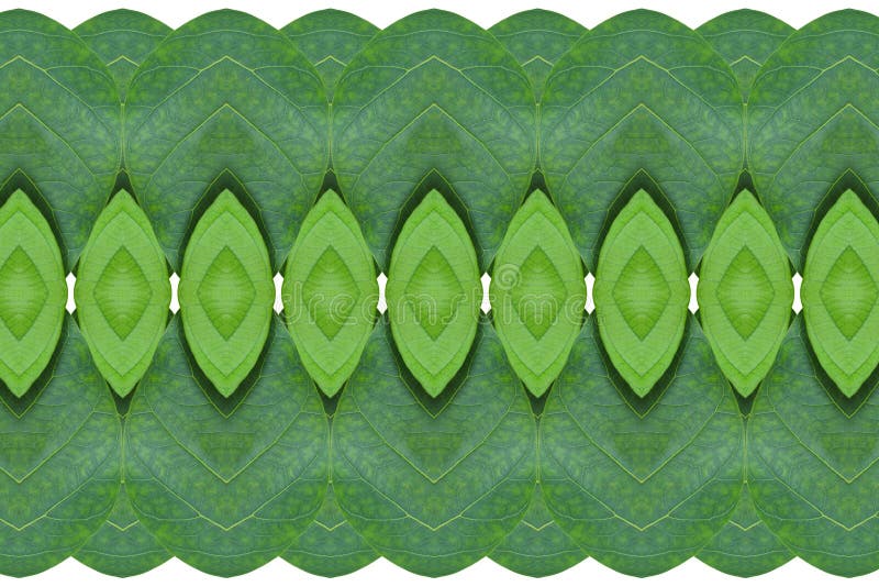 Idea form leaf. stock image. Image of foliage, flower - 55830183