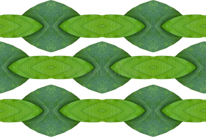 Idea form leaf. stock image. Image of greenery, fresh - 55830189