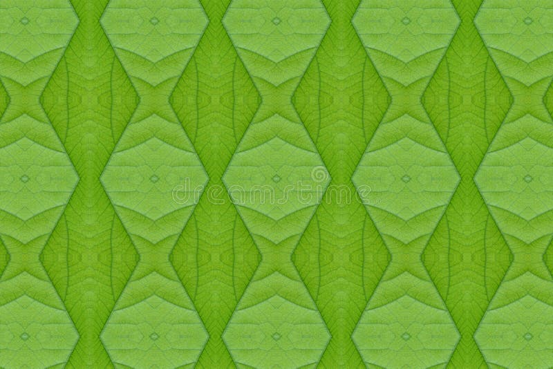 Idea form leaf. stock photo. Image of detail, form, greenness - 56167732