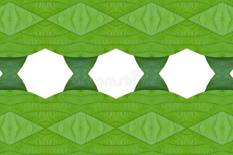Idea form leaf. stock image. Image of branch, border - 56167755