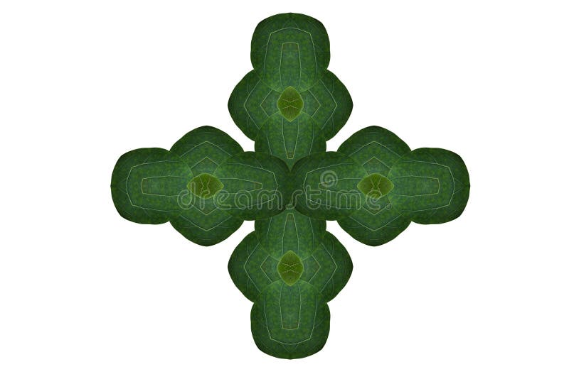 Idea form leaf. stock image. Image of growth, concept - 56201157