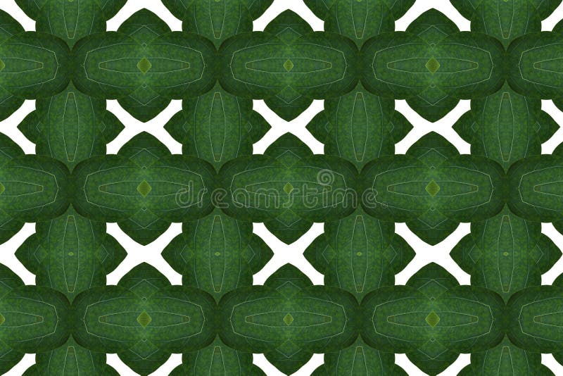 Idea form leaf. stock photo. Image of growth, greenness - 56201396