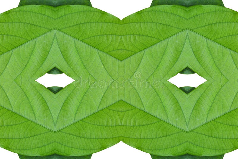 Idea form leaf. stock photo. Image of greenness, idea - 56202732