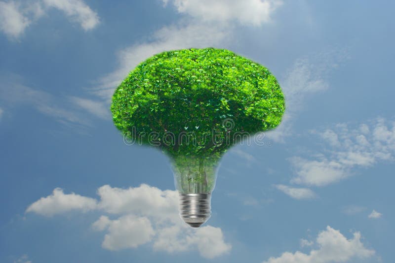 Idea Tree Lighting stock photo. Image of thought, wood - 40548748