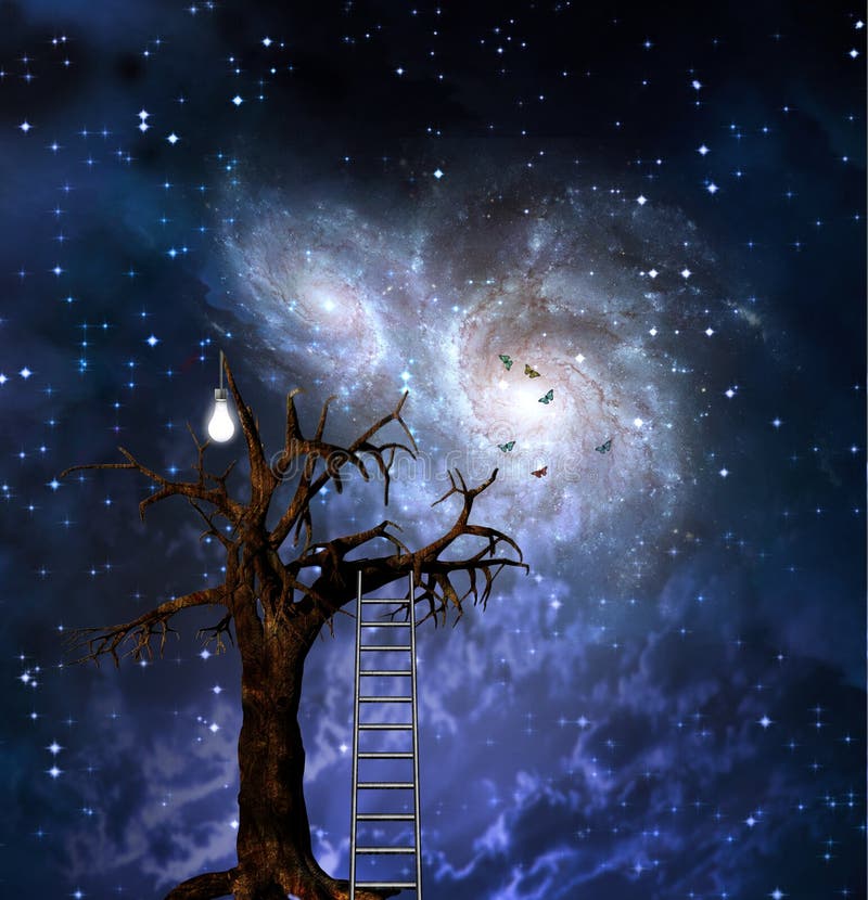 Rolffimages - Photographer profile