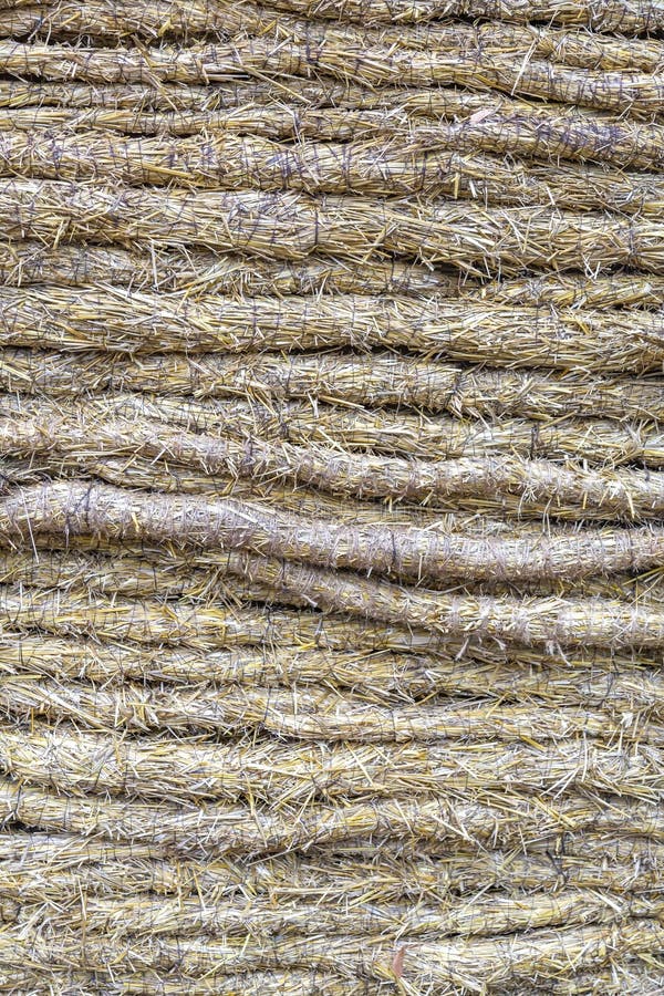 The Idea of Using Dry Grass To Decorate Your Garden or Backyard Stock ...