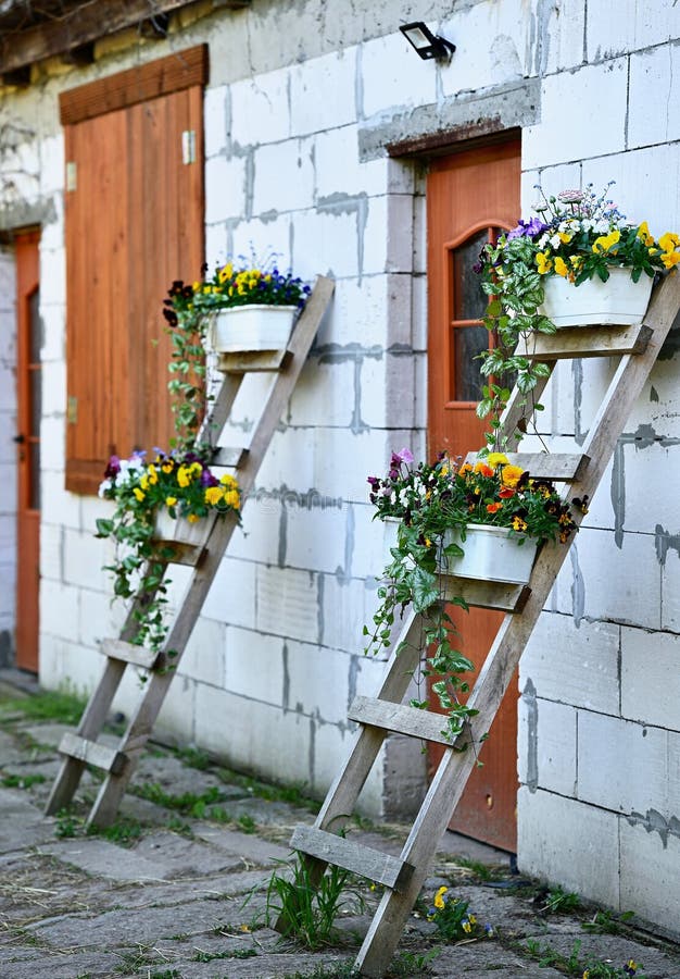 Idea for Vertical Landscaping in Backyard with Bright Blossom Flowers ...