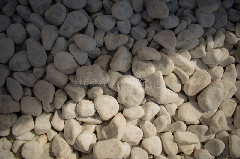 Ideal for Environmental, Ecological, or Spring-themed Content Stock ...