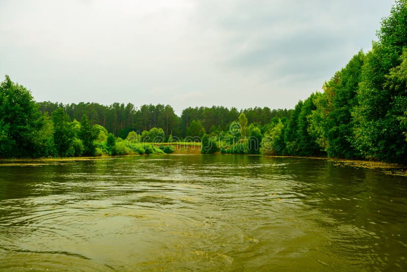 Idealistic Landscape of Fresh River with Calm Water in the Forest Stock ...