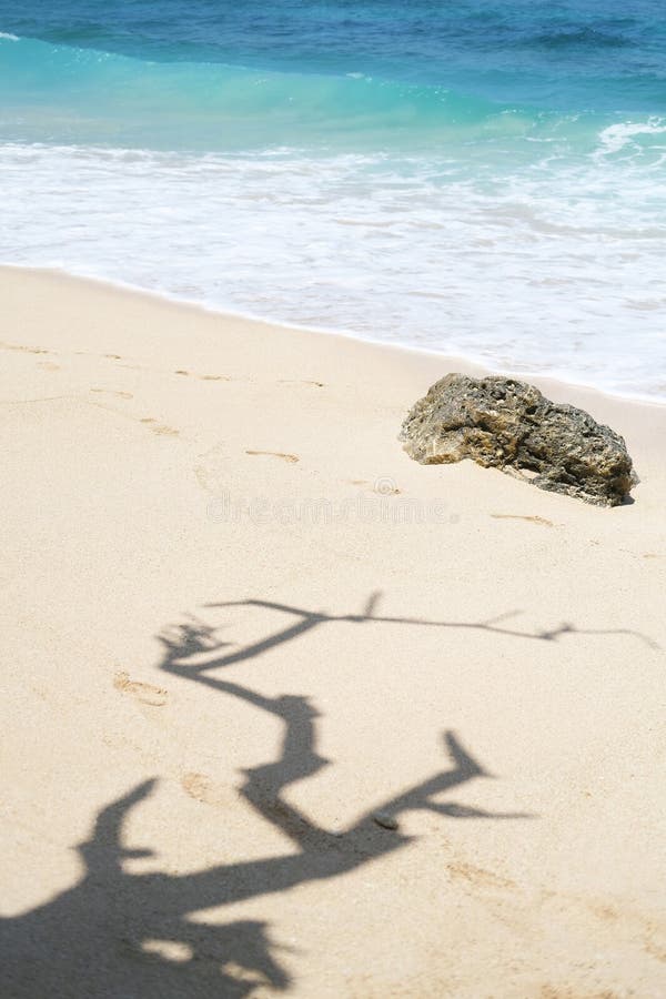 Idealistic White Sand and Blue Ocean. a Shadow from an Unusually Shaped ...
