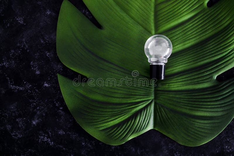 Ideas for Ecology and the Environment Concept, Lightbulb on Top of ...