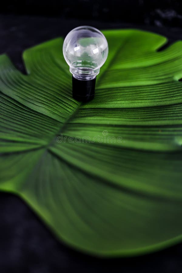Ideas for Ecology and the Environment Concept, Lightbulb on Top of ...