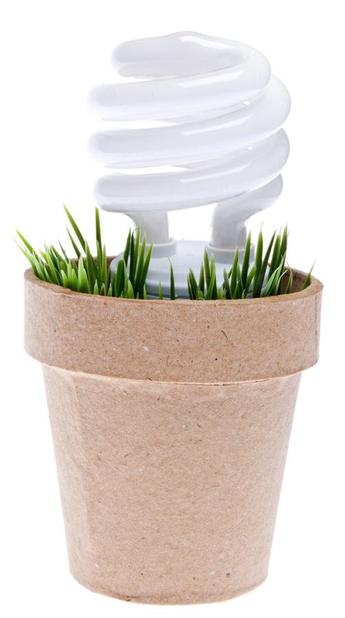 Ideas about Going Green stock photo. Image of earth, idea - 15255326