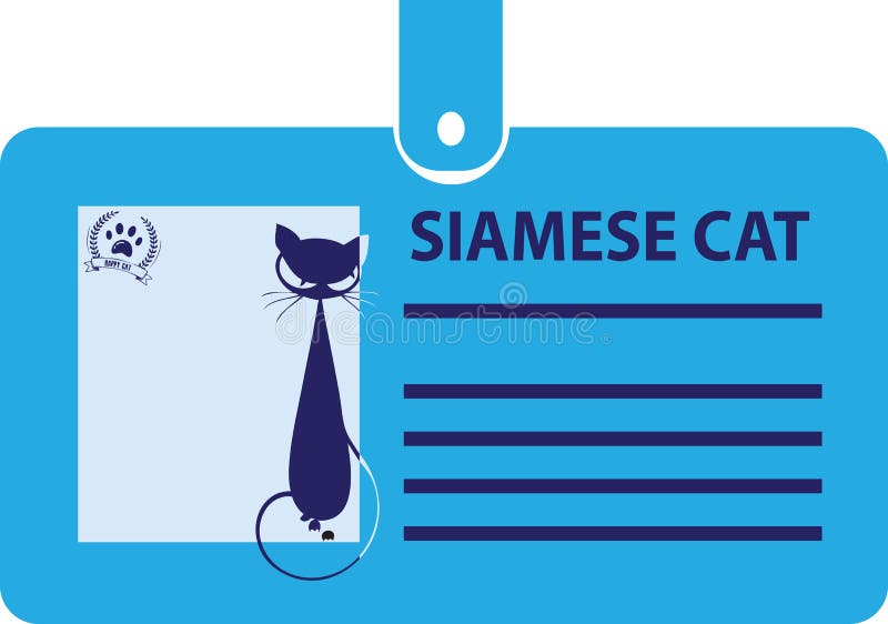 ID card Siamese Cat stock vector. Illustration of institution - 244938725