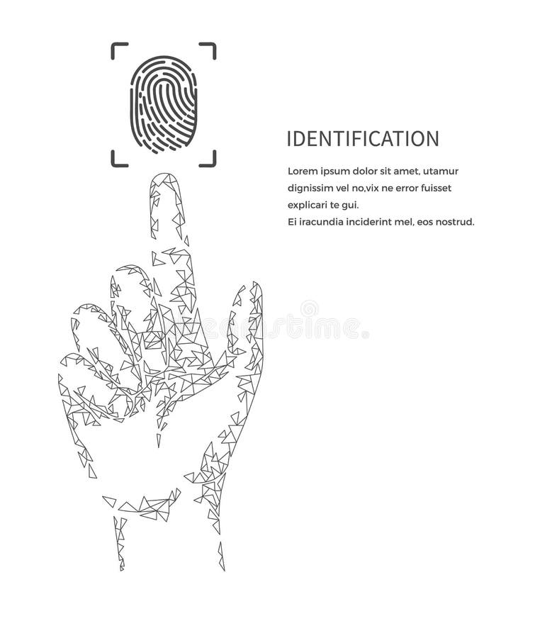 Identification Poster with Text Sample Vector Stock Vector ...