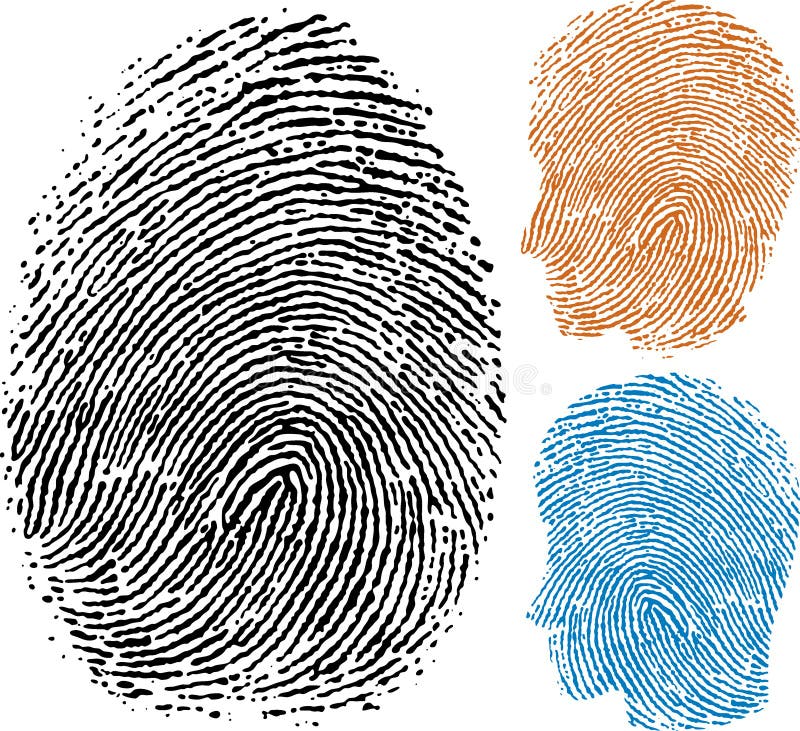 Identity fingerprint stock vector. Illustration of scan - 7042742