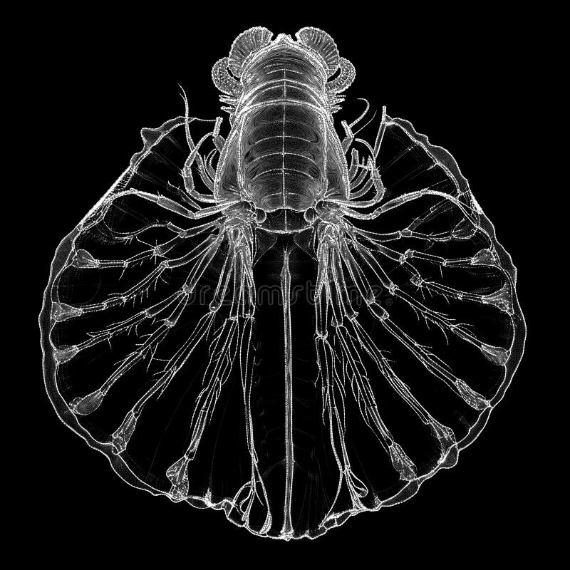 Identity of life form stock illustration. Illustration of ethereal ...