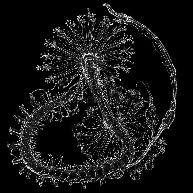 Identity of life form stock photo. Image of modern, refined - 317953890