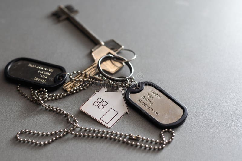 Identity Tag or Dog Tag Key Stock Photo - Image of navy, frame: 299796866