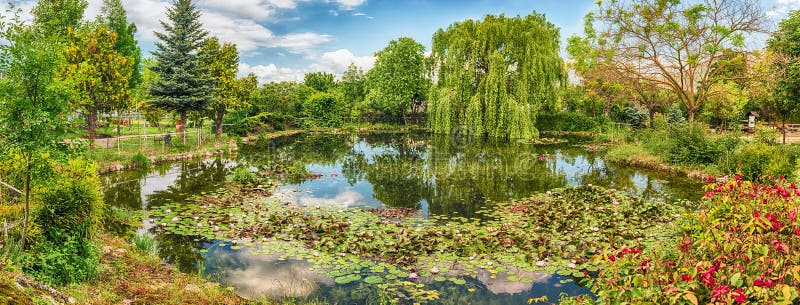 Idillic Small Pond in the Forest Stock Image - Image of green, lake ...