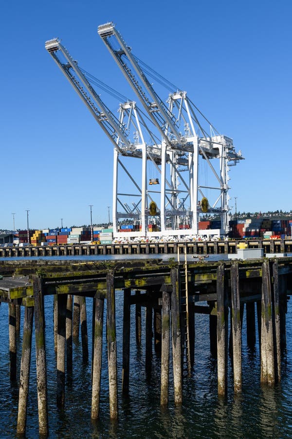 Idle Container Cranes at SSA Terminal 18 in the Port of Seattle ...