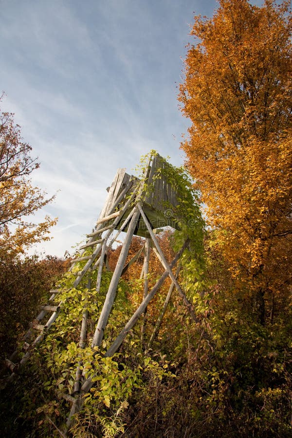 Tree stand stock image. Image of camouflage, hunt, ungulate - 14063391