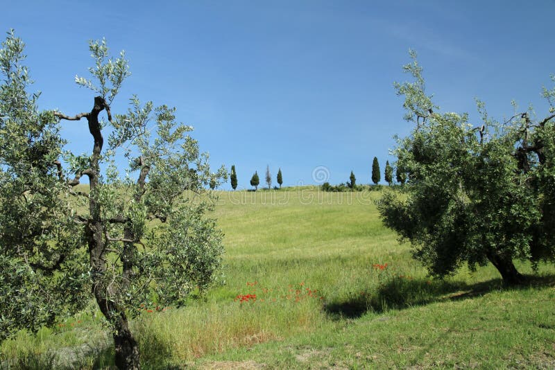 Idyll stock photo. Image of green, land, clean, european - 15386412