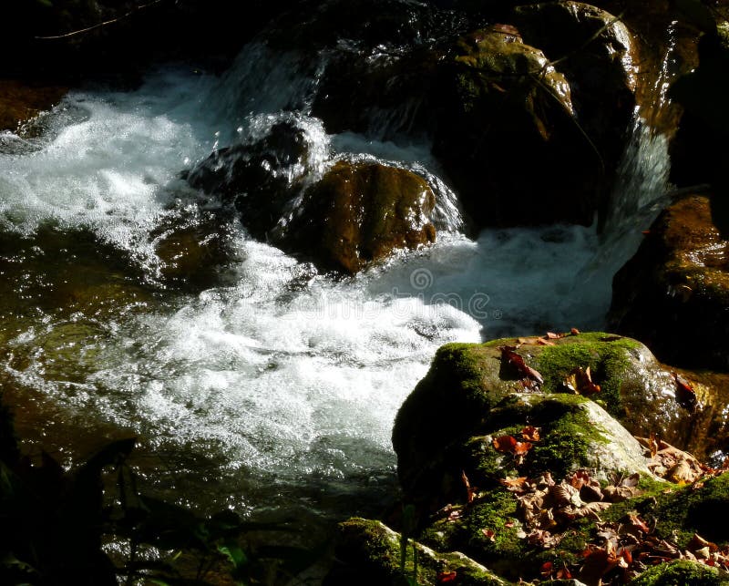 Idyll on the Rushing Mountain Stream with Crystal Clear Water 8 Stock ...