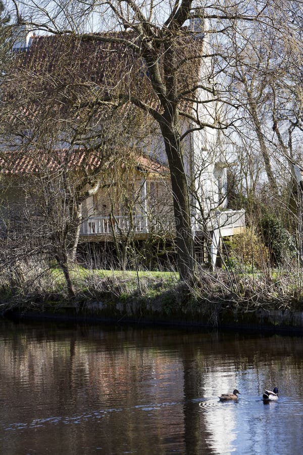 Idyllic backyard stock photo. Image of reflections, house - 38919772