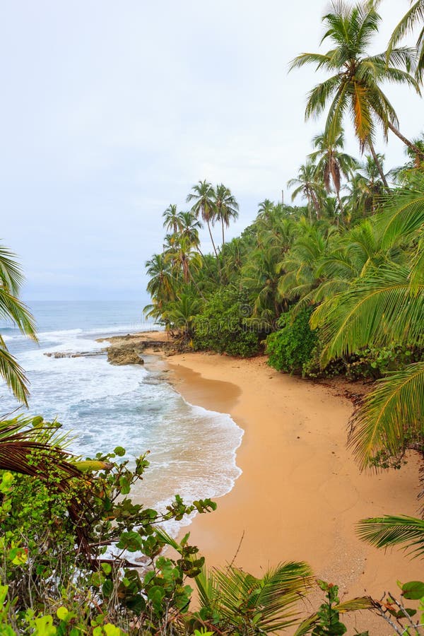 Idyllic Beach Manzanillo Costa Rica Stock Photo - Image of rainforest ...